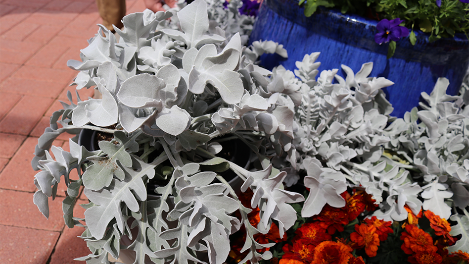 CAST 2023: Ball Horticultural - Nursery Management