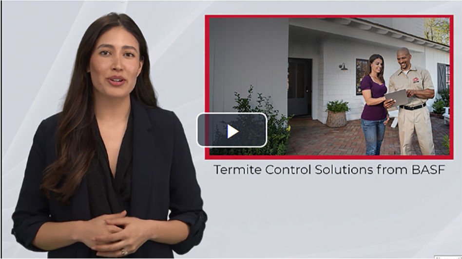 Termite Control Solutions from BASF - Pest Control Technology