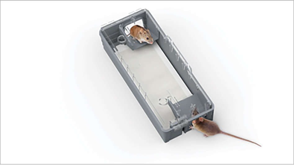 Innovative Ramp Design and Multi-Catch Effectiveness - Pest Control ...
