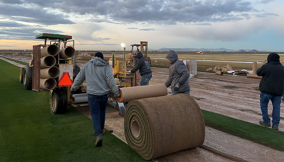 West Coast Turf launches natural grass sod grown on plastic - Golf Course Industry