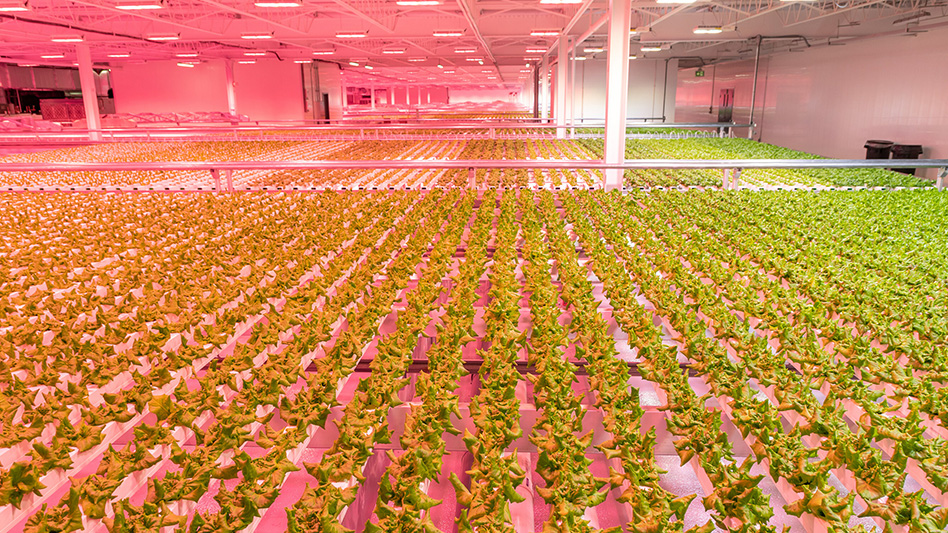 Montreal-based Lufa Farms opens up first indoor farm - Produce Grower