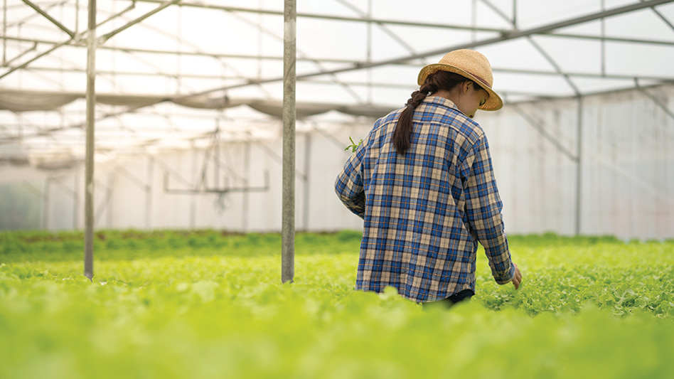 Filling a need - Produce Grower
