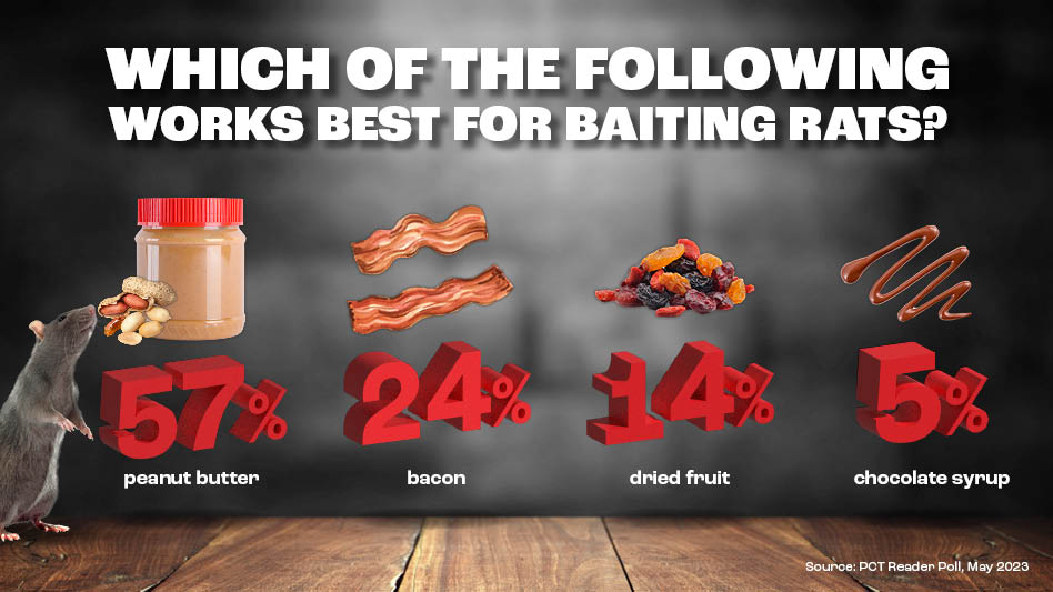 PMPs Weigh in on Rat Baiting - Pest Control Technology