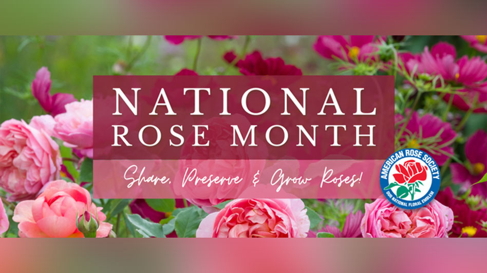 ARS celebrates National Rose month - Garden Center