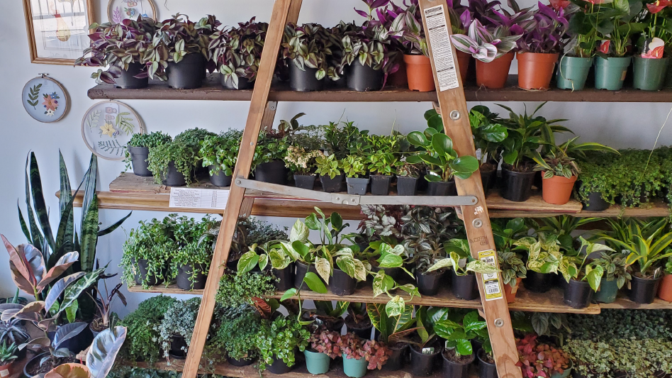 Botanicals and beyond - Garden Center