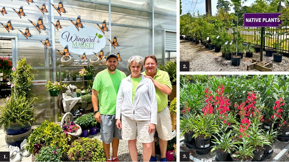 Bringing life to gardens - Garden Center