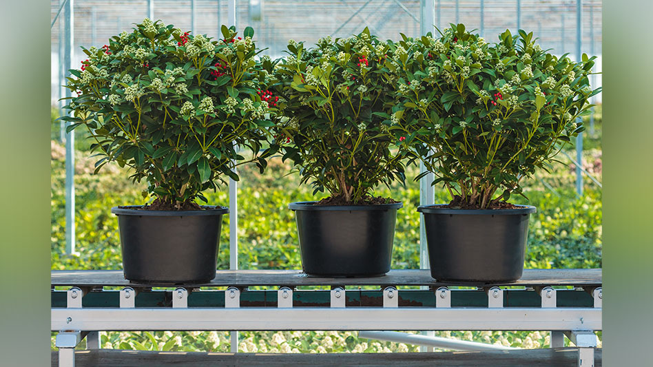 Motorized movement - Nursery Management