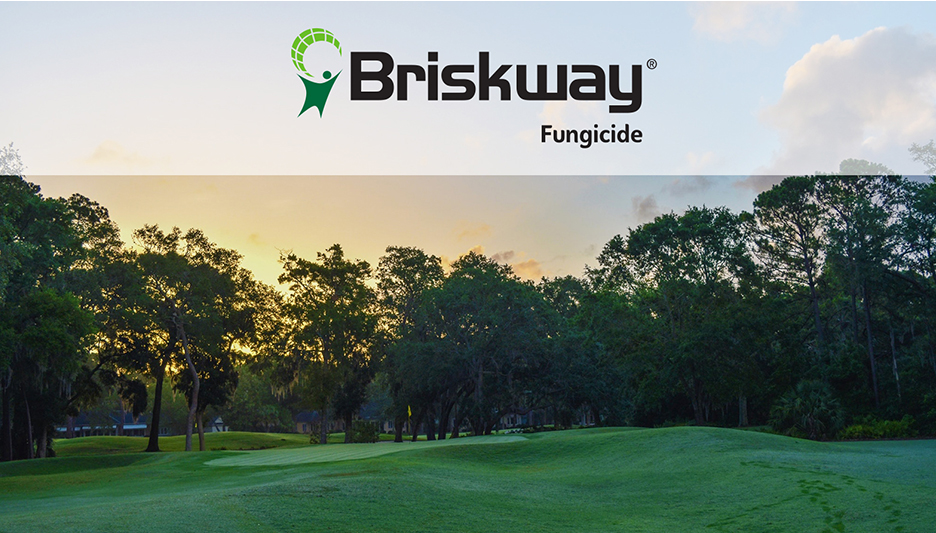 Syngenta’s Briskway fungicide re-registered for golf course usage in ...