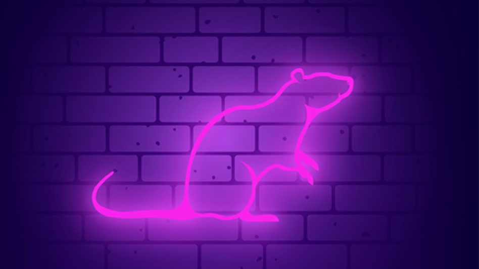 Here's How ERM Can Help Your Rodent Management - Pest Control Technology