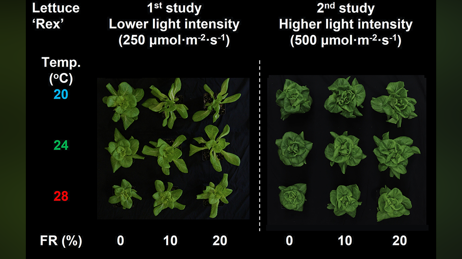 Optimize your production parameters - Produce Grower