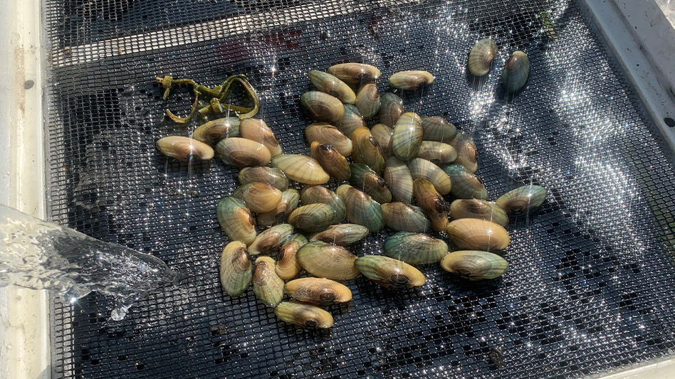 Golf, tractors and mussels, oh my! - Golf Course Industry