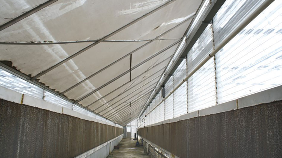 Keeping it cool: How to maintain fan and pad cooling systems ...