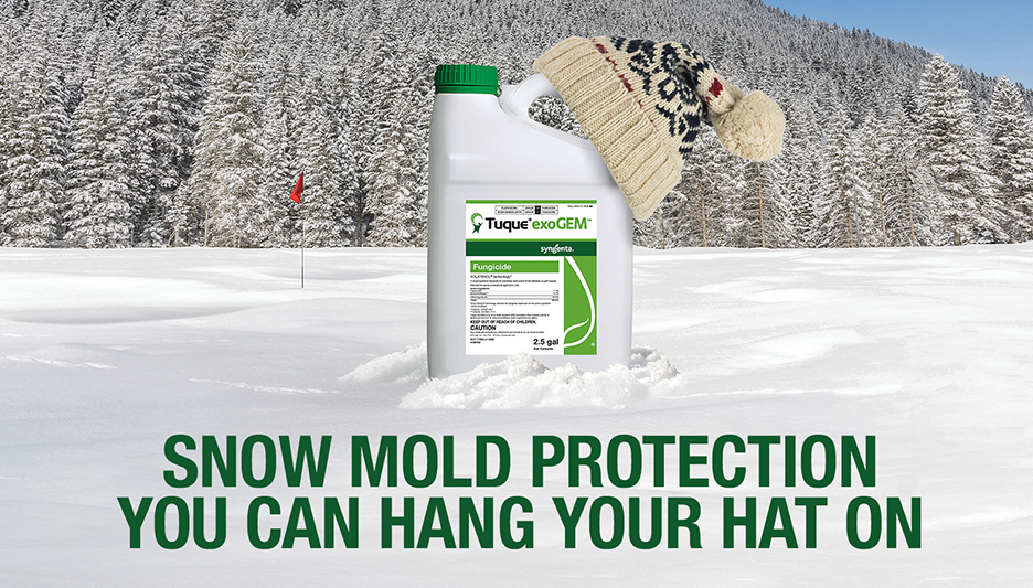 Syngenta launches new snow mold control solution - Golf Course Industry