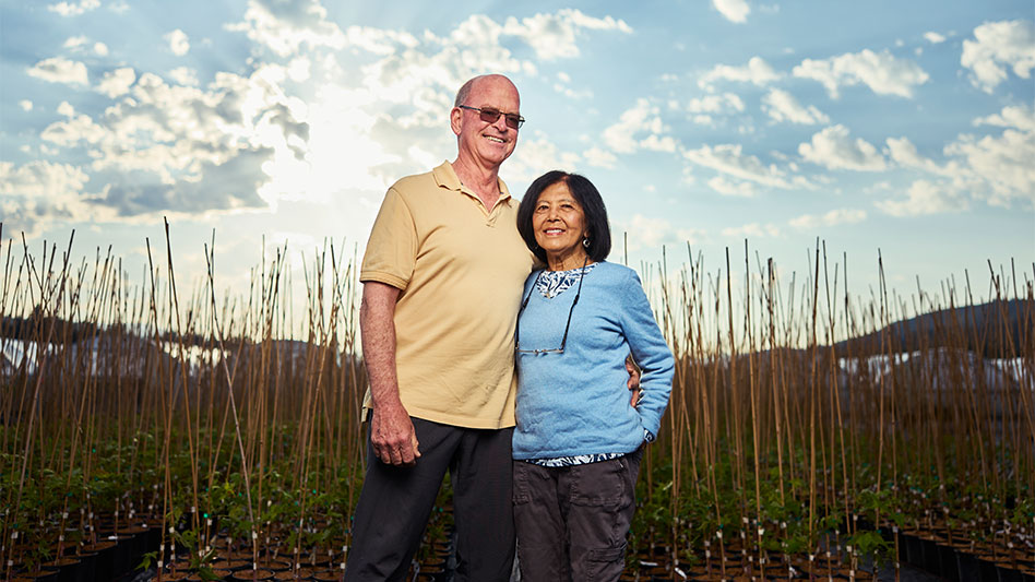 The perfect pair - Nursery Management