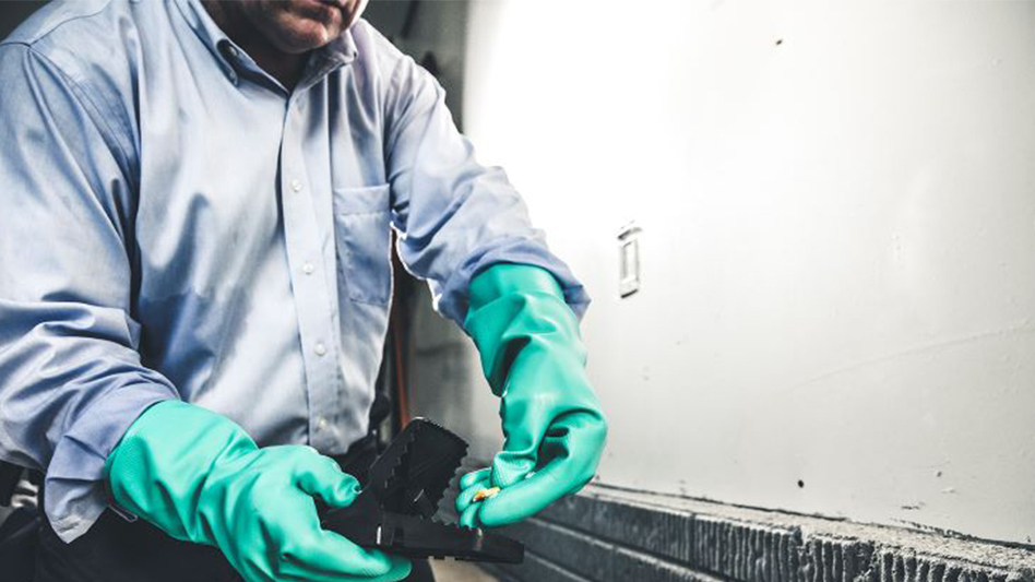 Know the Rodent Signs - Pest Control Technology