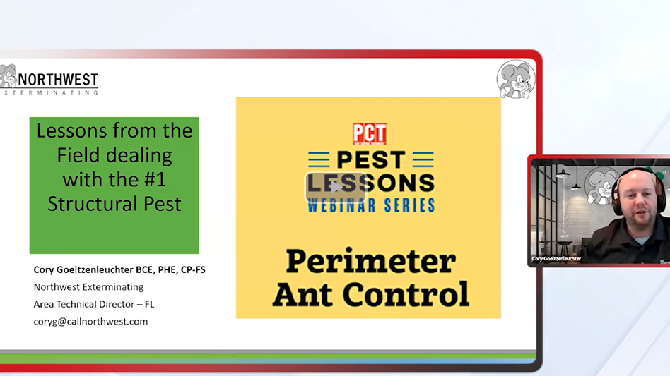 Pest Lessons: Perimeter Ant Control - Pest Control Technology
