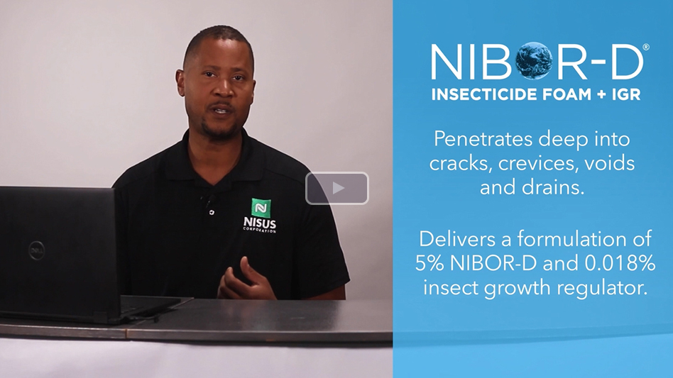 New Nibor-D + IGR - Pest Control Technology