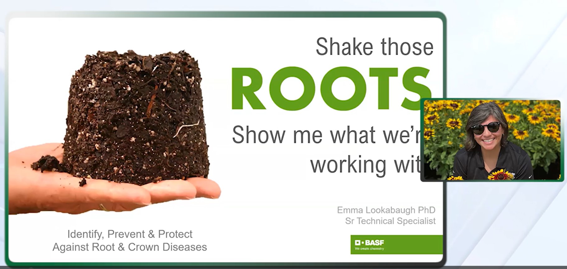 Shake those roots, show me what we're working with! ID, prevent and ...
