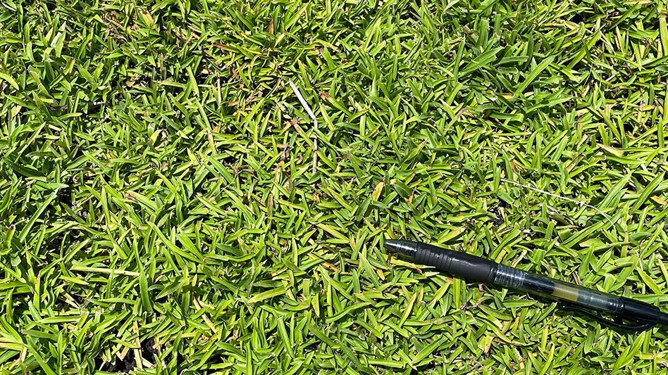 Avoid the nasty complex - Golf Course Industry