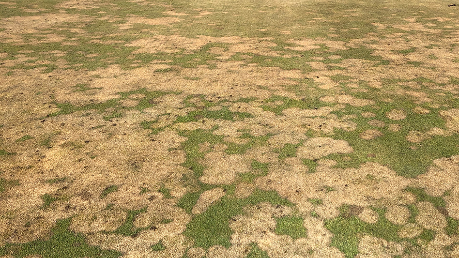 Still severe — and often confounding - Golf Course Industry