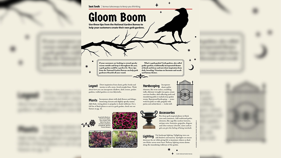 Gloom boom - Garden Center