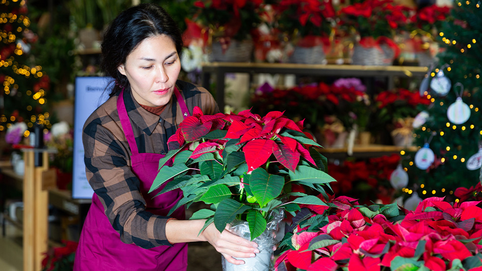 Offering customers a calm and comfortable Christmas - Garden Center