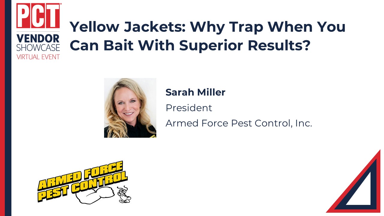 Yellow Jackets: Why Trap When You Can Bait With Superior Results ...