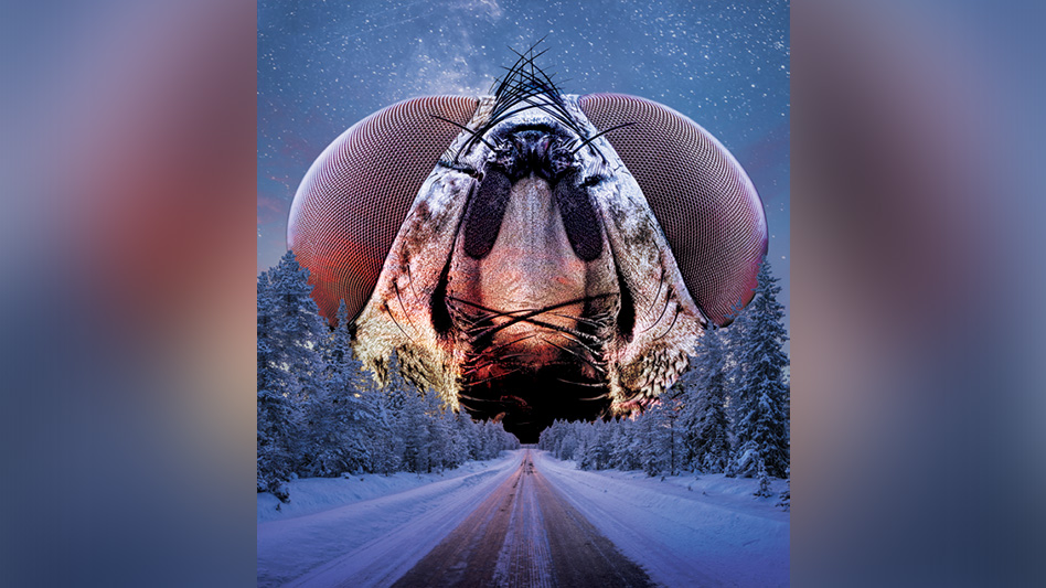 10 Tips to Minimize Fall Pest Invasions - Pest Control Technology