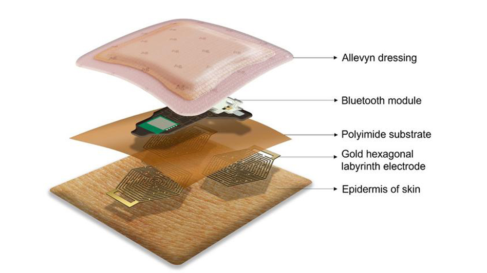 Wearable heart monitor ticks all the boxes for better healthcare ...