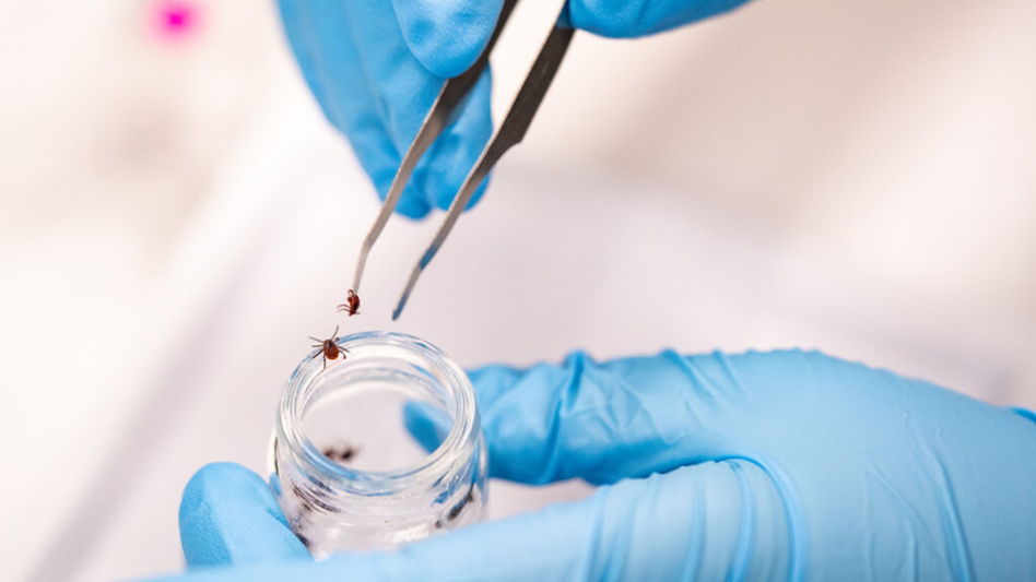 Grant Establishes Multi-Agency Program on Vector-Borne Diseases - Pest ...