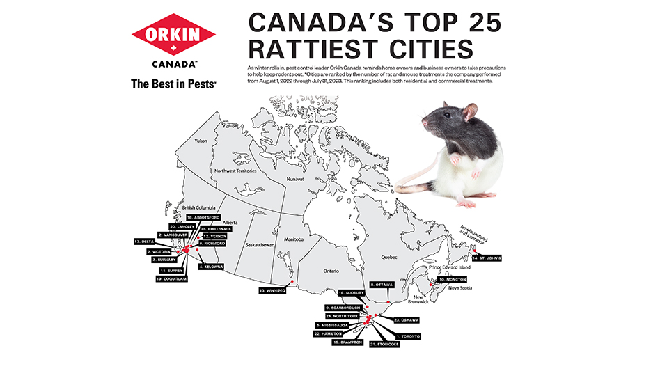 Toronto Remains Canada's No. 1 Rattiest City - Pest Control Technology