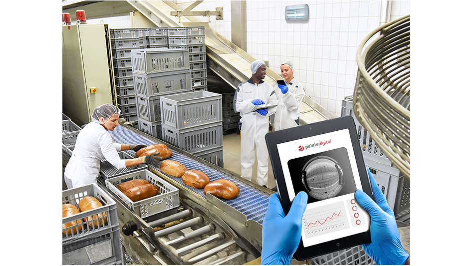 Pelsis Launches Insect Monitoring System with Real-Time Data Access ...