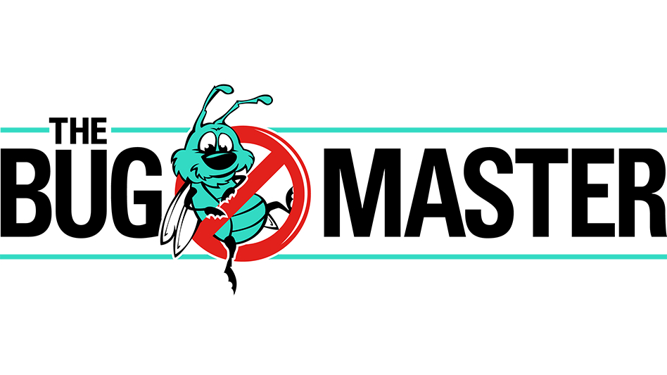 The Bug Master Partners with Art from the Streets for Art Celebration ...