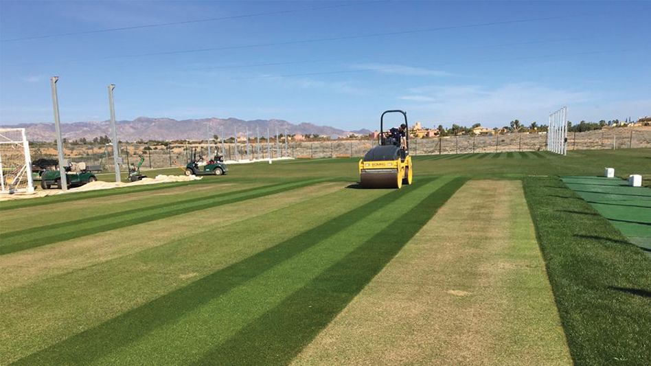 The unseen art of a foreign game - Golf Course Industry