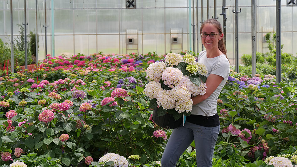 The discovery - Nursery Management