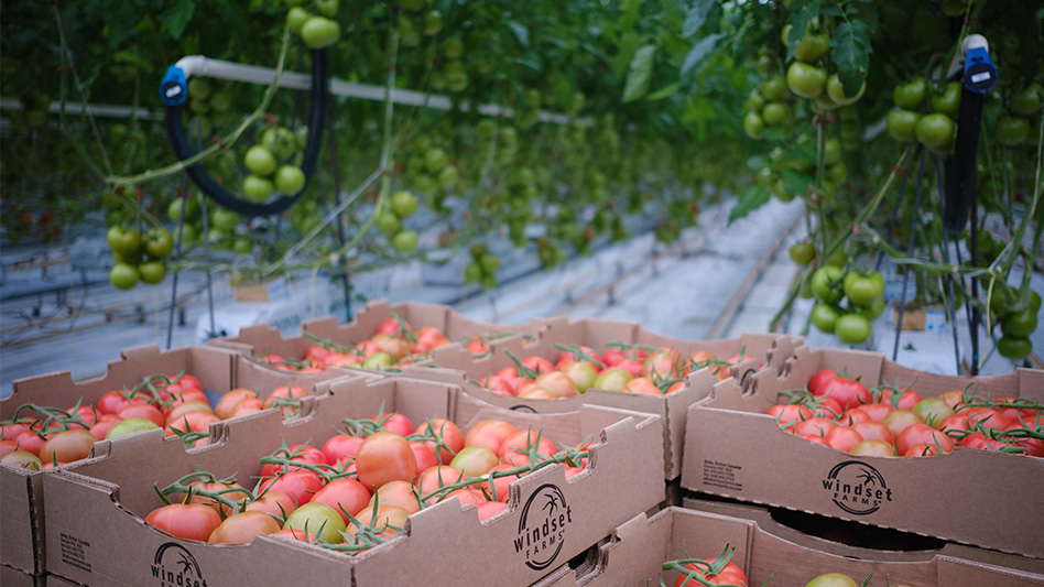 Windset Farms partners with Vancouver foodbank - Produce Grower