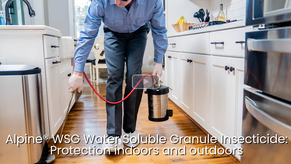 Alpine WSG Water Soluble Granule Insecticide - Pest Control Technology