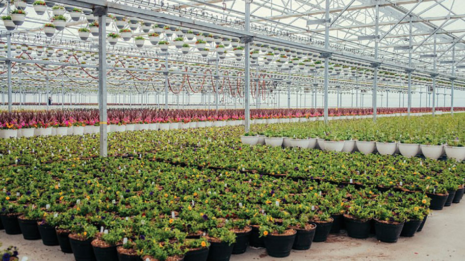 Building a winning team - Greenhouse Management