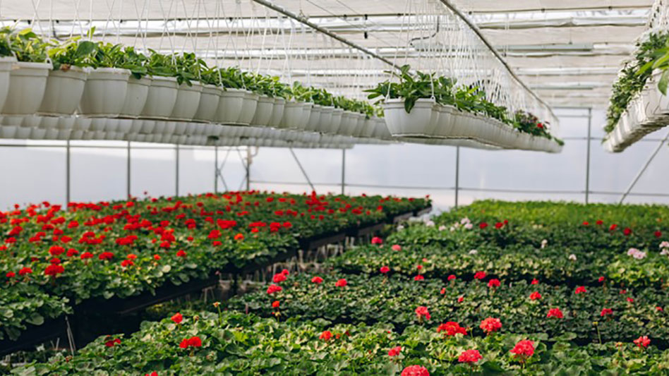 Spring cleaning - Greenhouse Management