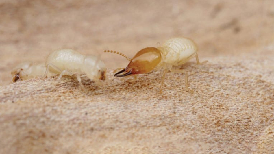 Equipment: Selection, Use & Maintenance - Pest Control Technology