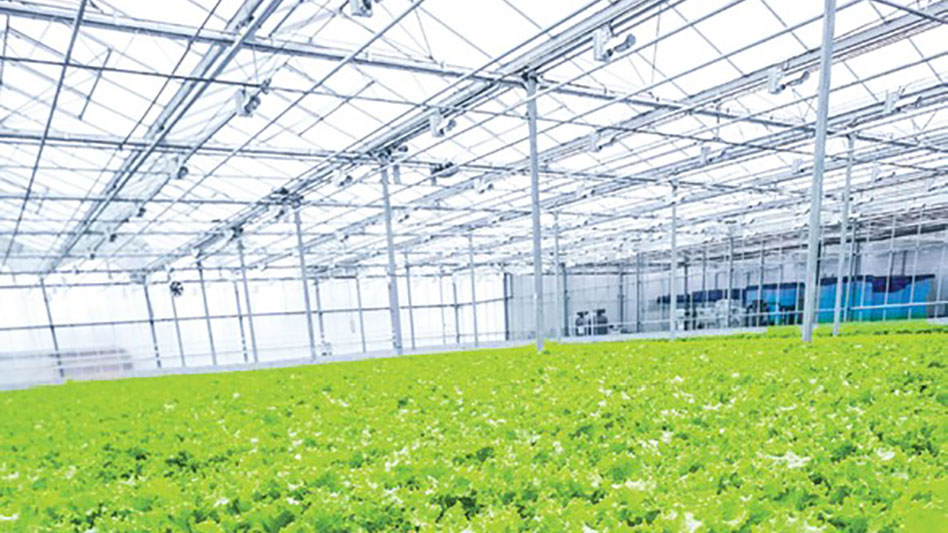 Indoor Ag-Con Preview - Produce Grower