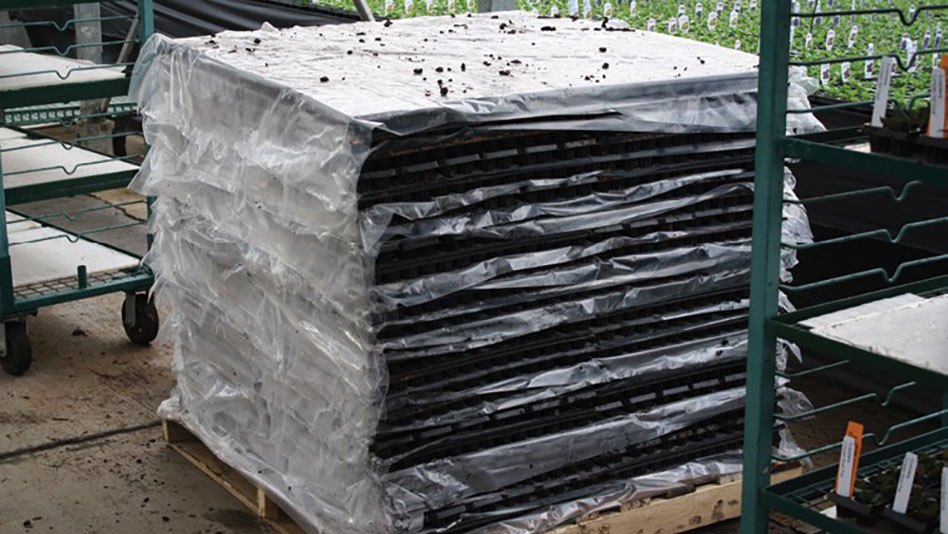 Preparing for planting: best practices to follow - Greenhouse Management