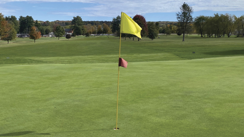 Small ball - Golf Course Industry