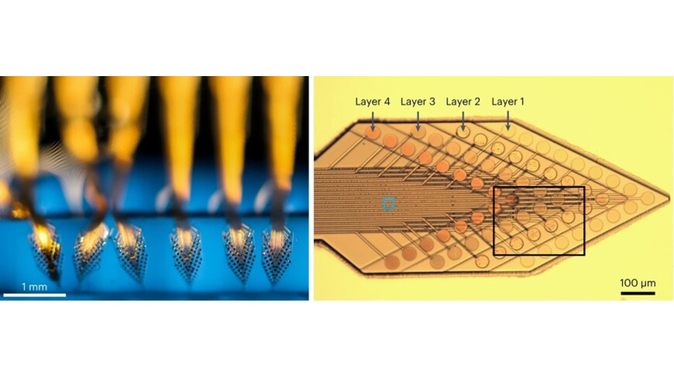 Long-lasting neural probe - Today's Medical Developments