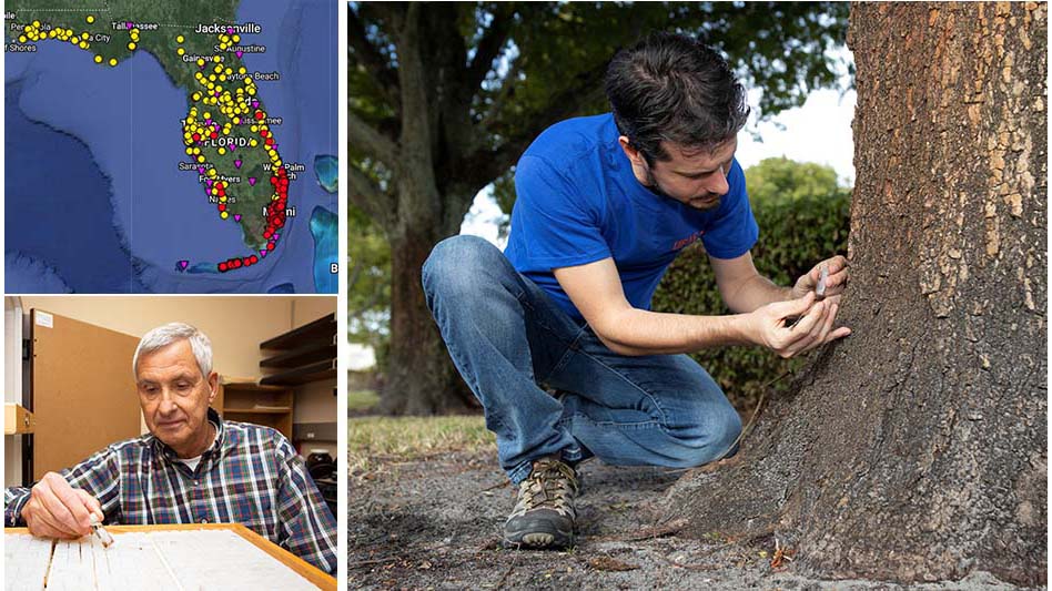 UF/IFAS Unveils Online Interactive Termite Distribution Map - Pest ...