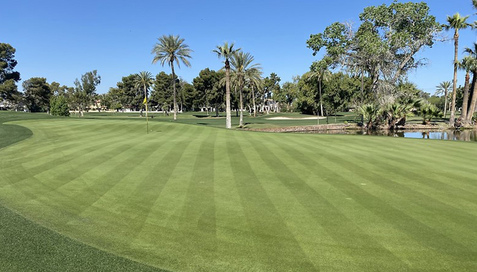 What to do about the s-word? - Golf Course Industry