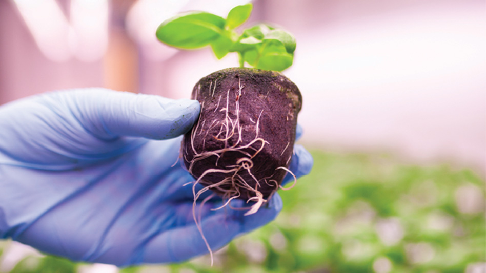 Find the right substrate in a Jiffy - Produce Grower