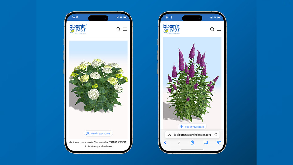 Bloomin’ Easy reveals new augmented reality experience for consumers ...