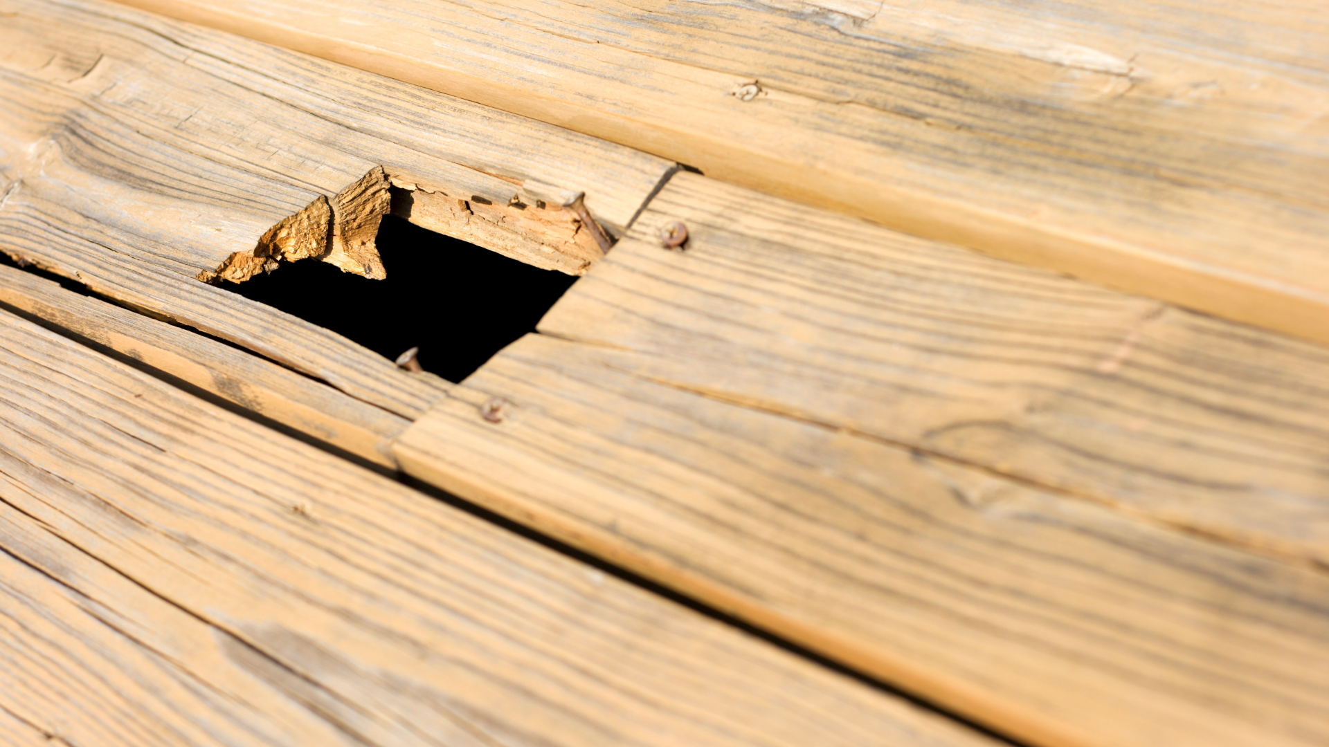 Perimeter Service 'Add Ons' - Pest Control Technology