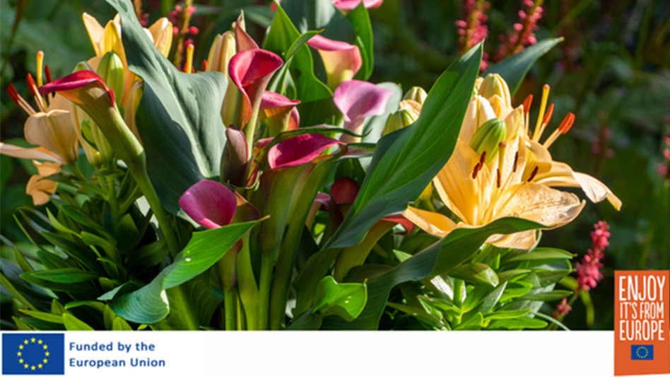 Garden Media Group and Royal Anthos renew strategic alliance to elevate ...